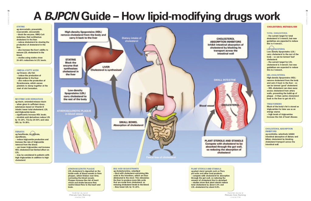 Back to Basics: A BJPCN Guide – How lipid-modifying drugs work - Issues ...