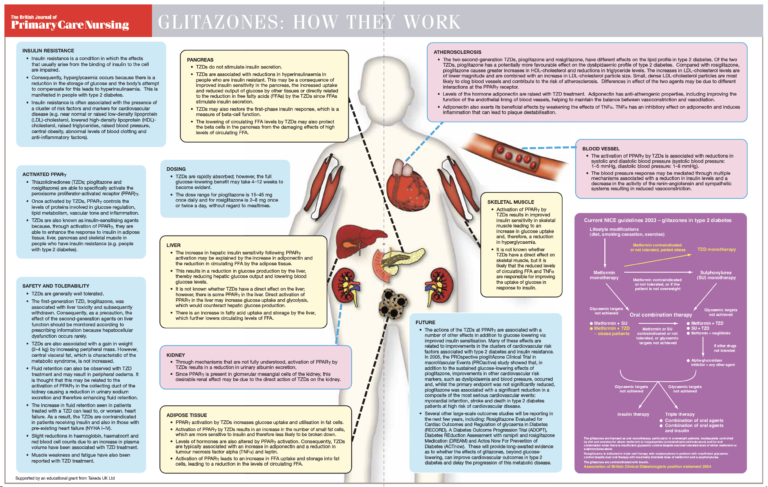 Back to Basics: Glitazones: how they work - Issues and Answers