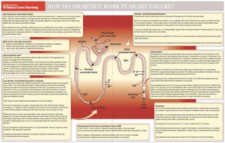 Back to Basics: How do diuretics work in heart failure - Issues and Answers