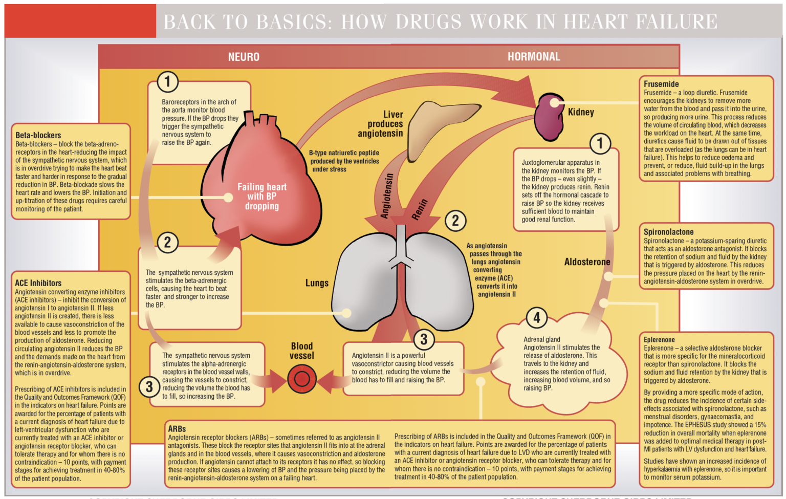 Back to Basics: How drugs work in heart failure - Issues and Answers