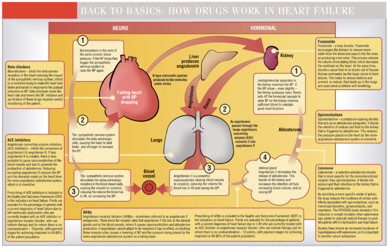 Back to Basics: How drugs work in heart failure - Issues and Answers