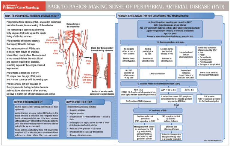 Back to Basics: Making sense of peripheral arterial disease (PAD ...