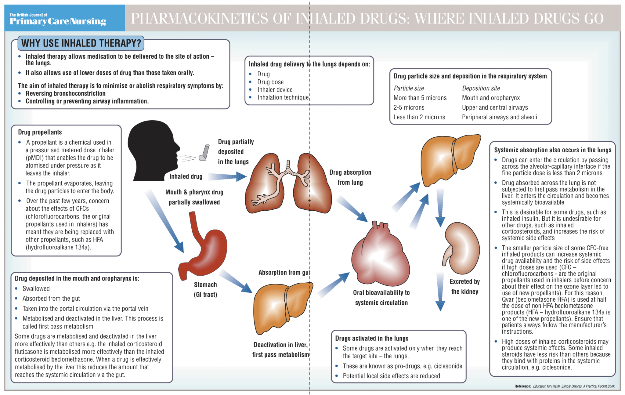 Back to Basics: Pharmacokinetics of inhaled drugs - where inhaled drugs ...