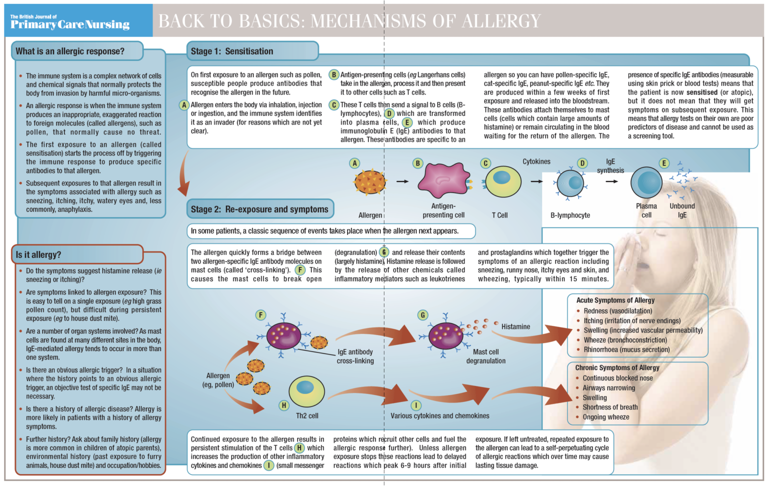 Back to Basics: Mechanisms of allergy - Issues and Answers