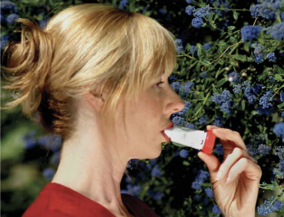 Symbicort® (budesonide/formoterol) Maintenance and Reliever Therapy ...