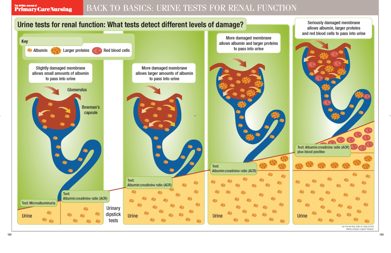 Back to Basics: Urine tests for renal function - Issues and Answers