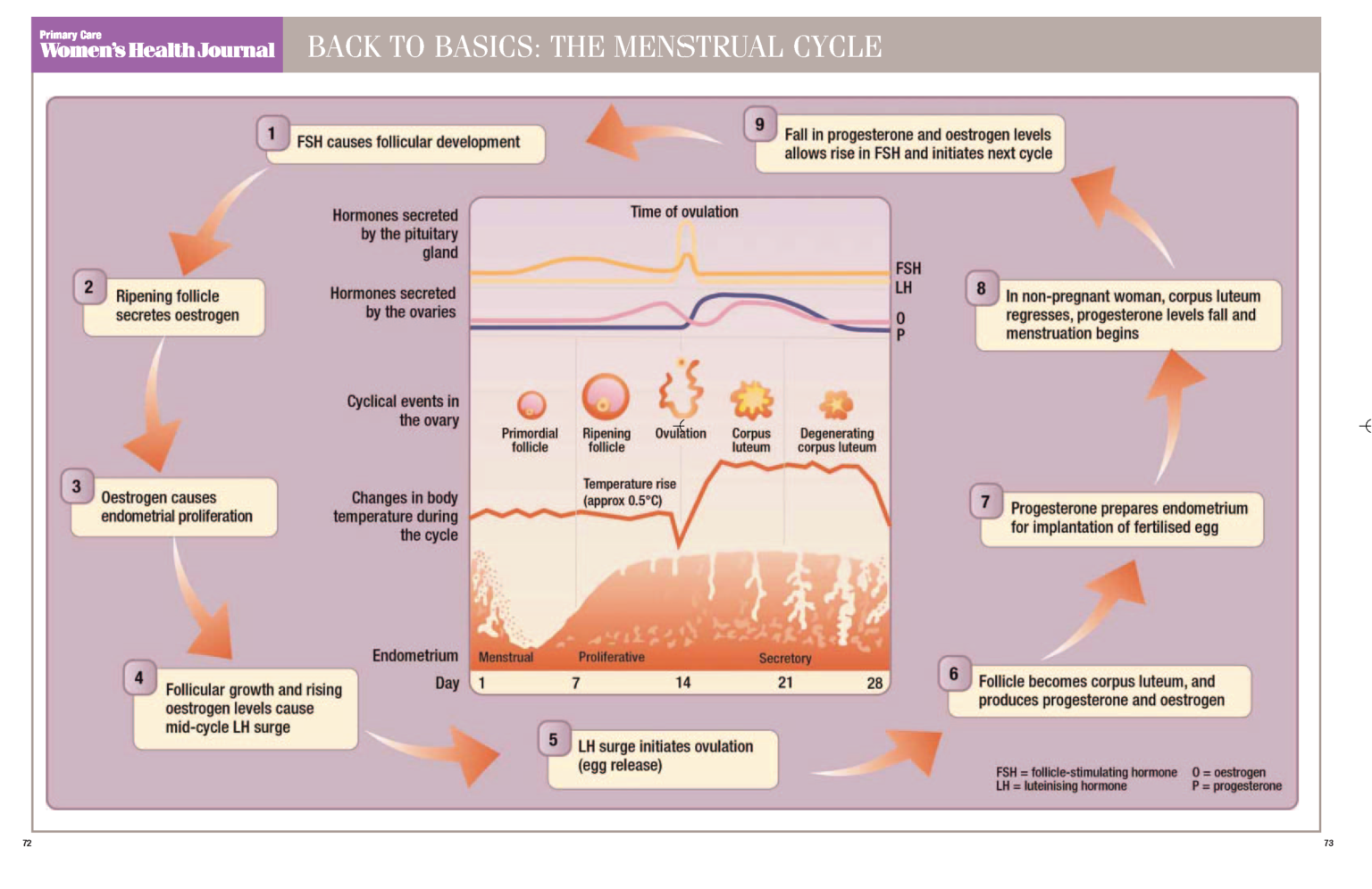 Back to Basics: The menstrual cycle - Issues and Answers