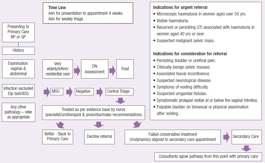 A new pathway to progress in continence care - Issues and Answers