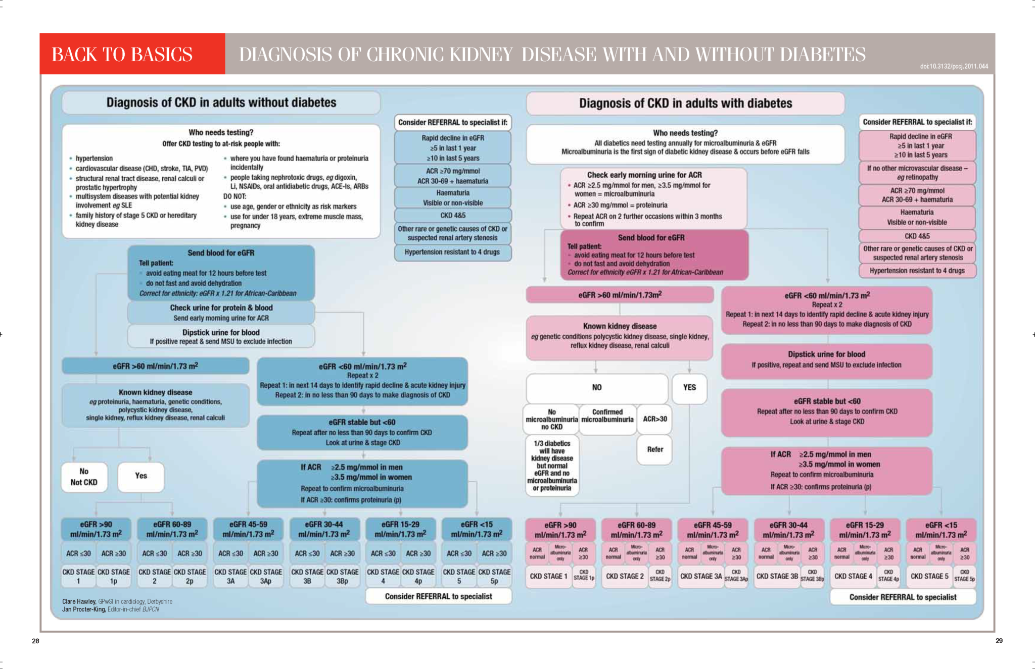 Back to Basics: Diagnosis of CKD with and without diabetes - Issues and ...