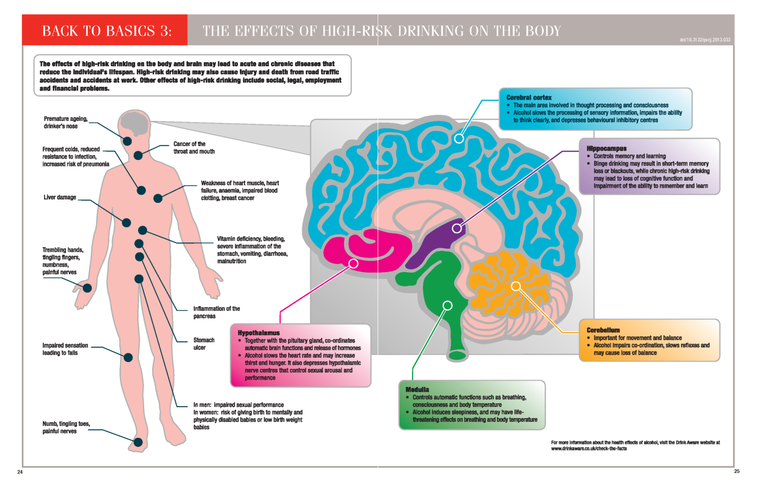Back to Basics: The effects of high risk drinking on the body - Issues ...