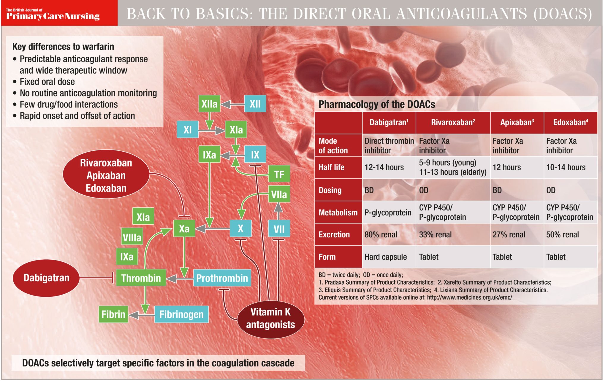 Back to Basics: Understanding the DOACs - Issues and Answers