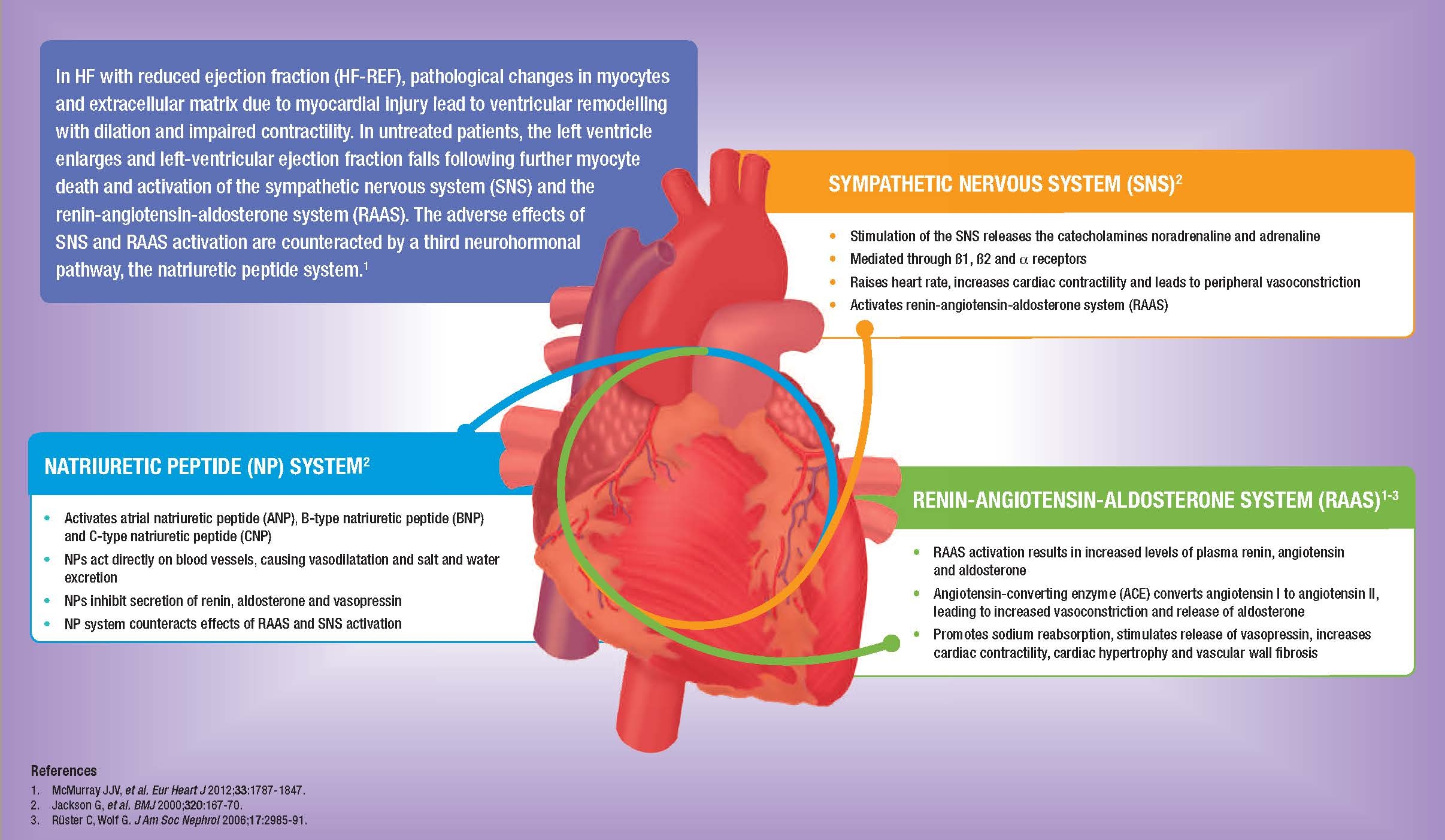 Renin Angiotensin Aldosterone System Heart Failure