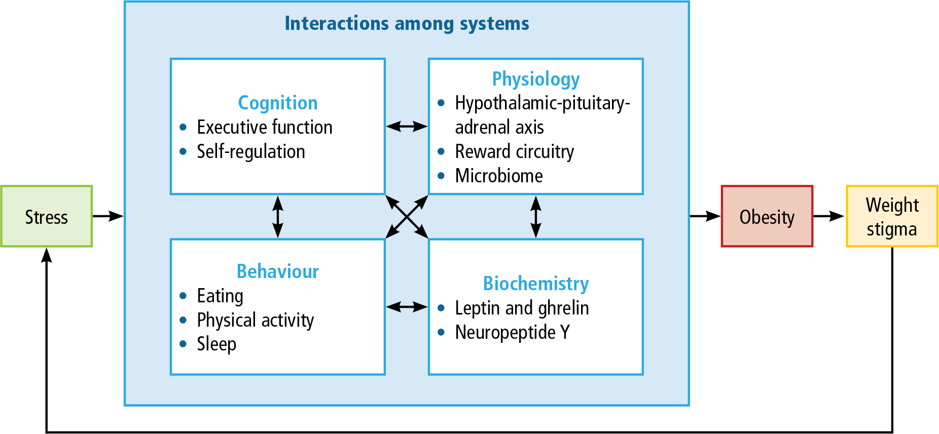 Practical Obesity Management - Issues and Answers