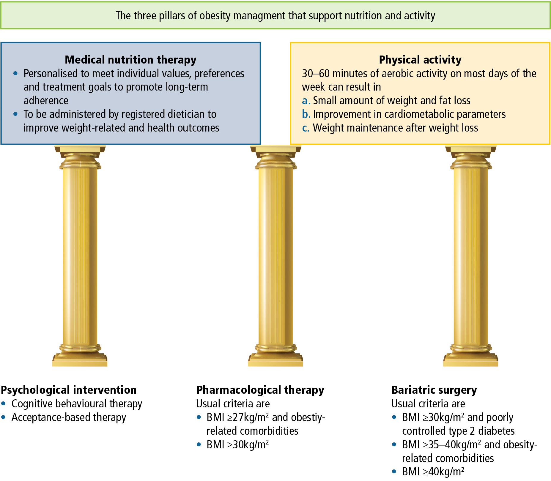 Practical Obesity Management - Issues and Answers